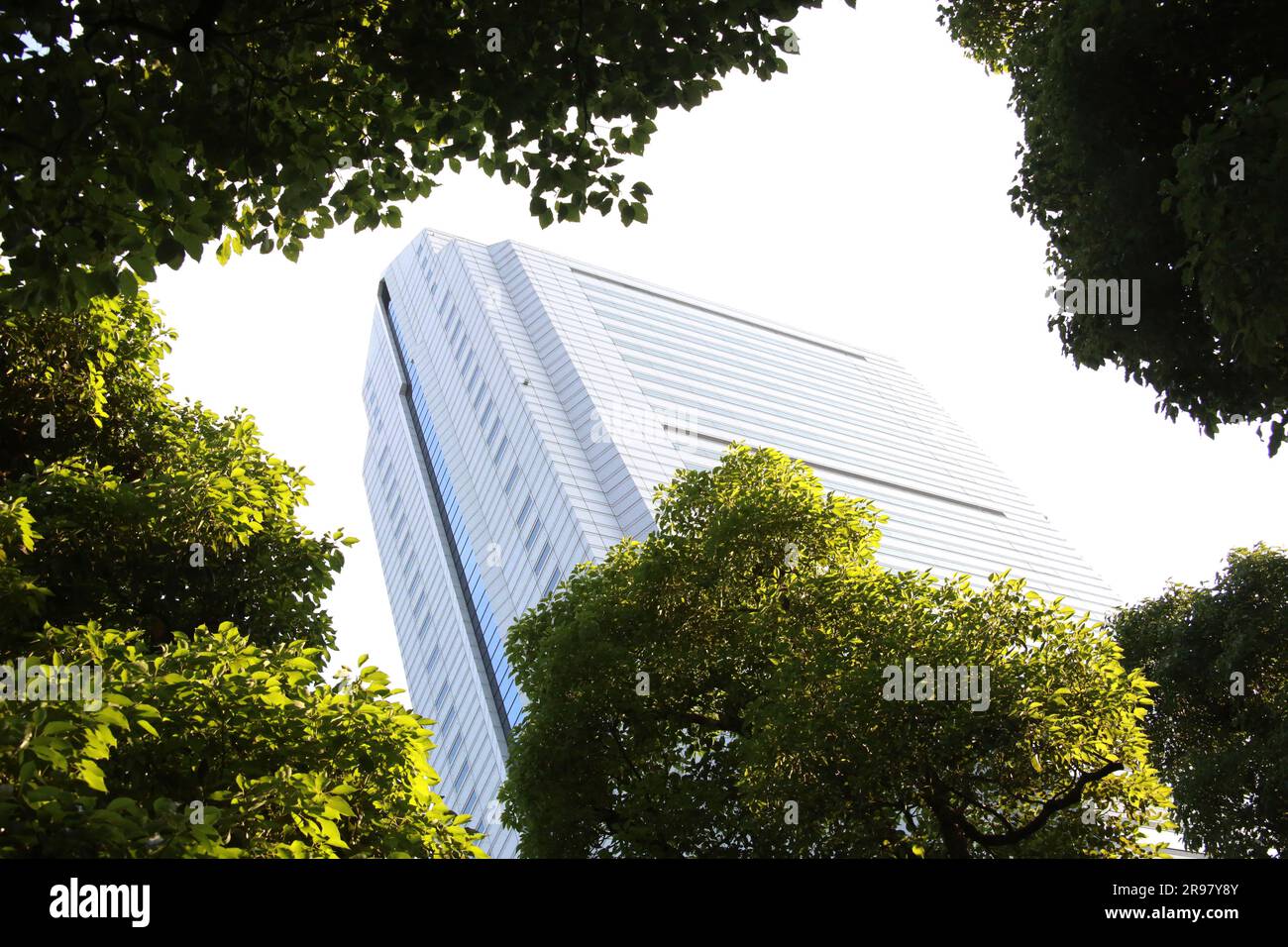 Japanese Multinational Electronics Corporation