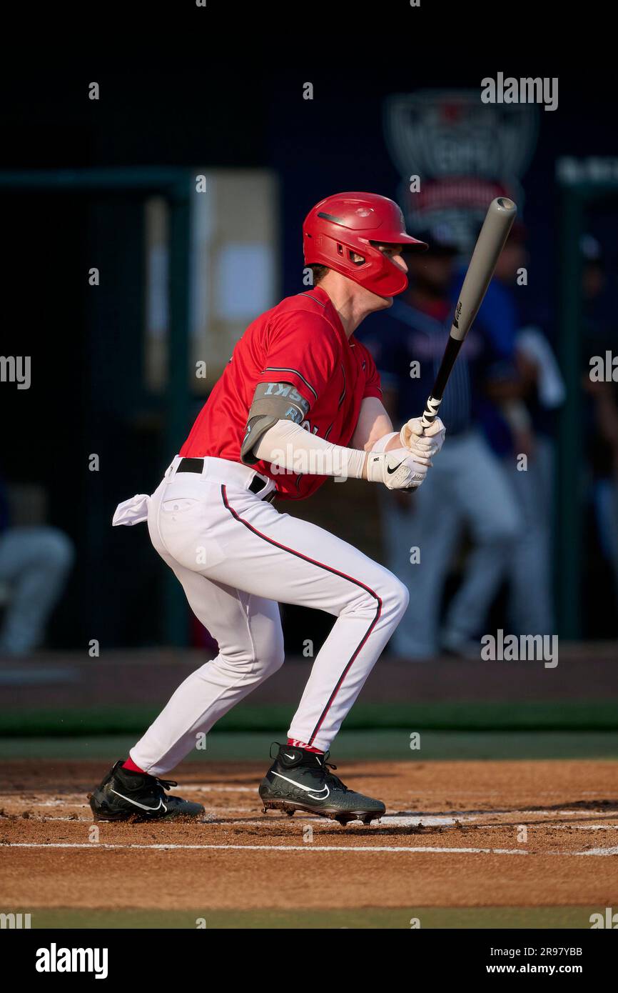 Harrisburg Senators Robert Hassell III (21) hits a single during an ...