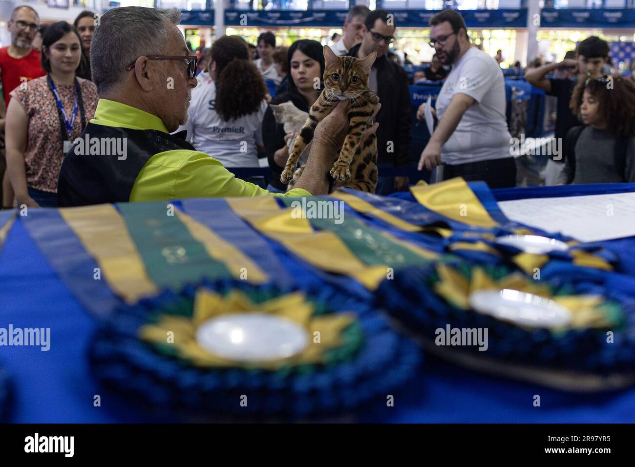 Sao Paulo, Brazil. 24th June, 2023. A cat competes in the American ...