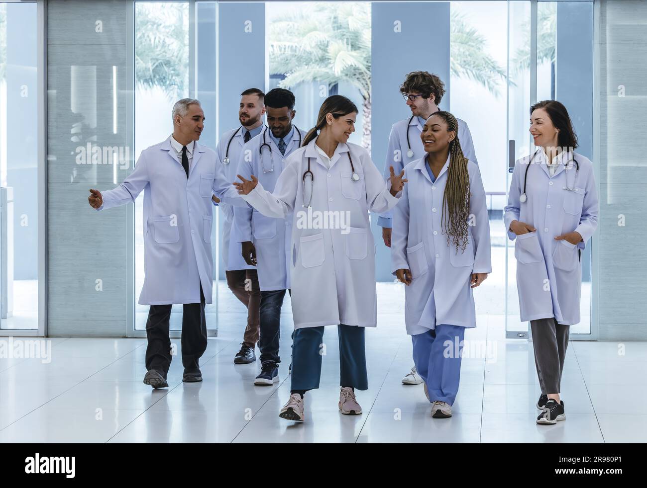 Group of experienced doctors from different of filed working together ...
