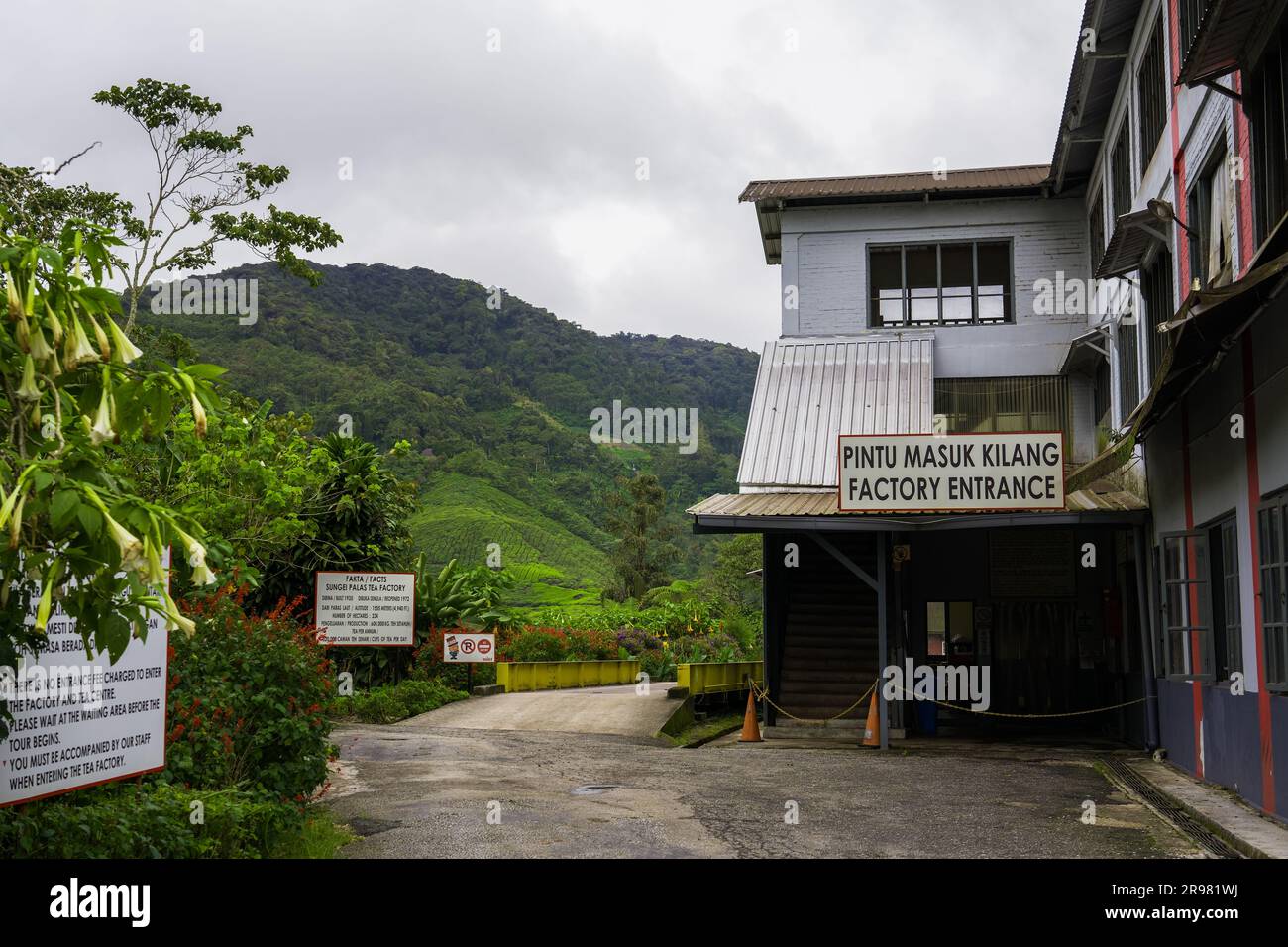 Old tea factory and tea plantation in Cameron Highlands. Tea processing ...