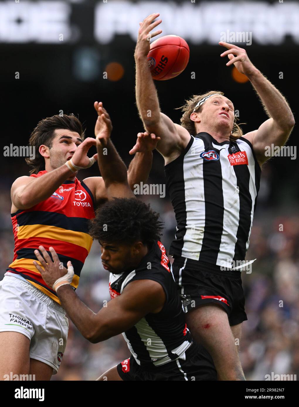 Melbourne, Australia. 25th June, 2023. Joshua Rachele of the Crows ...