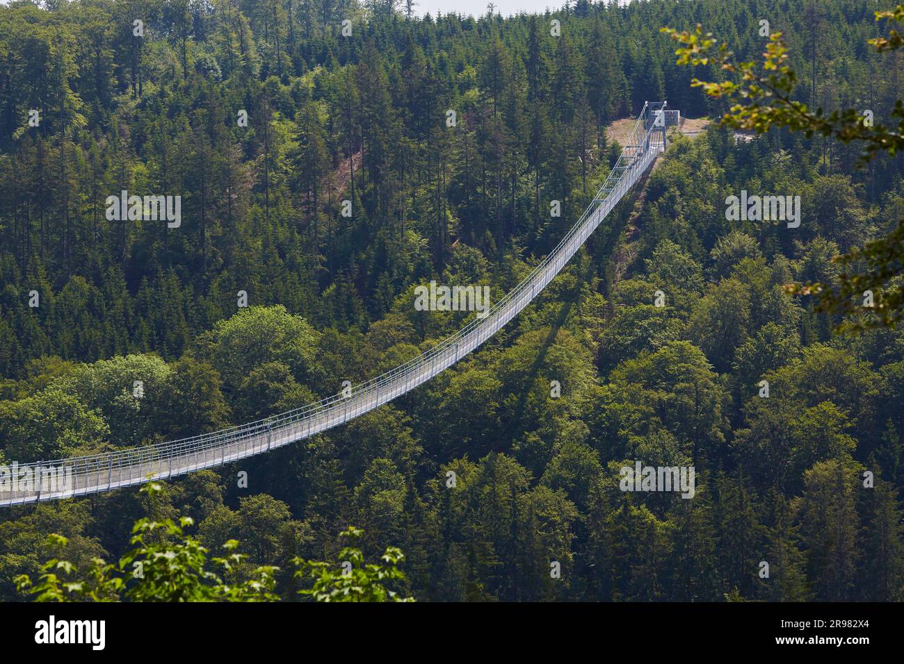 Willingen, Skigebiet, Upland, Hessen, Sauerland, Hessia, Deutschland ...