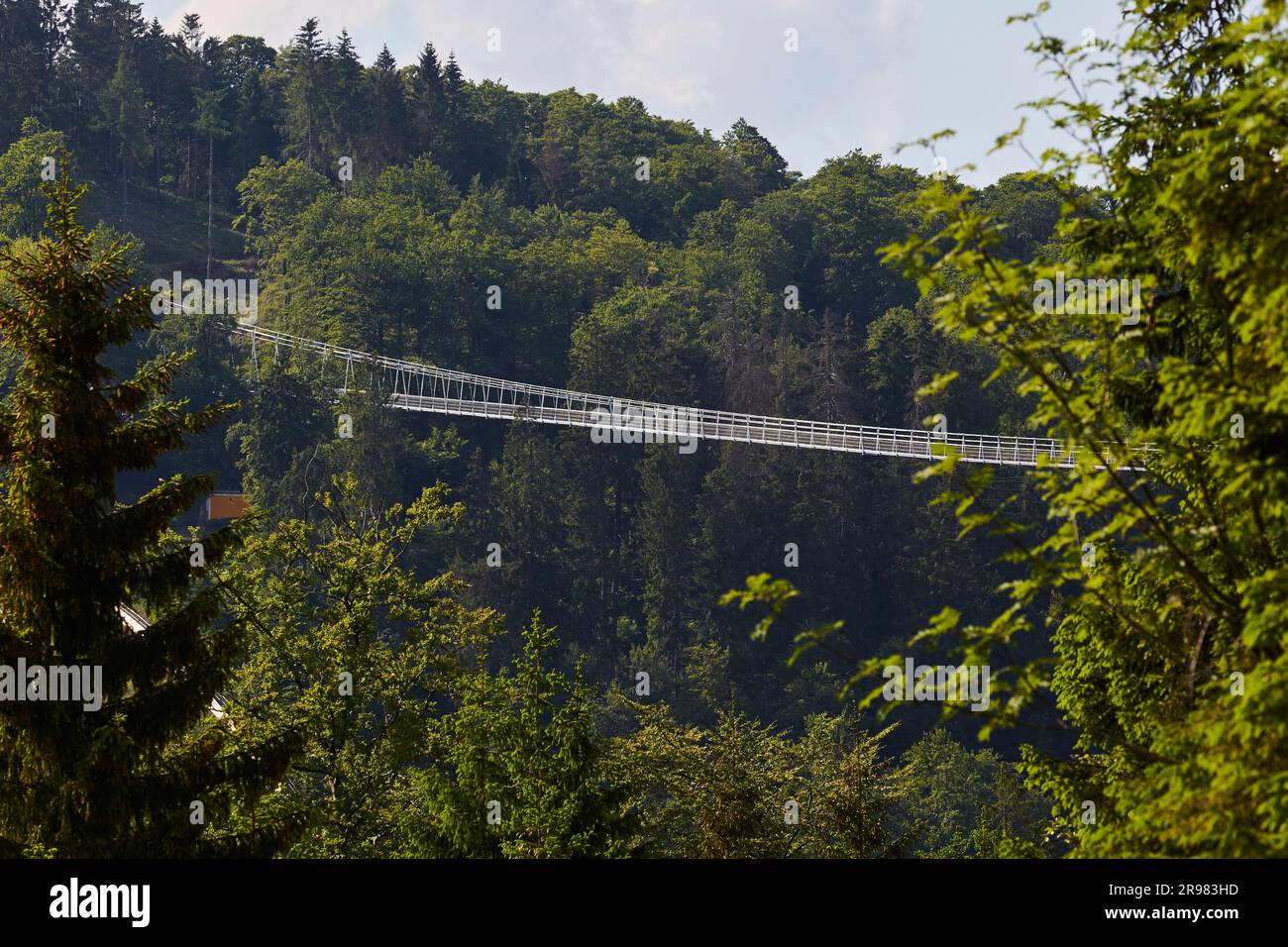 Willingen, Skigebiet, Upland, Hessen, Sauerland, Hessia, Deutschland ...