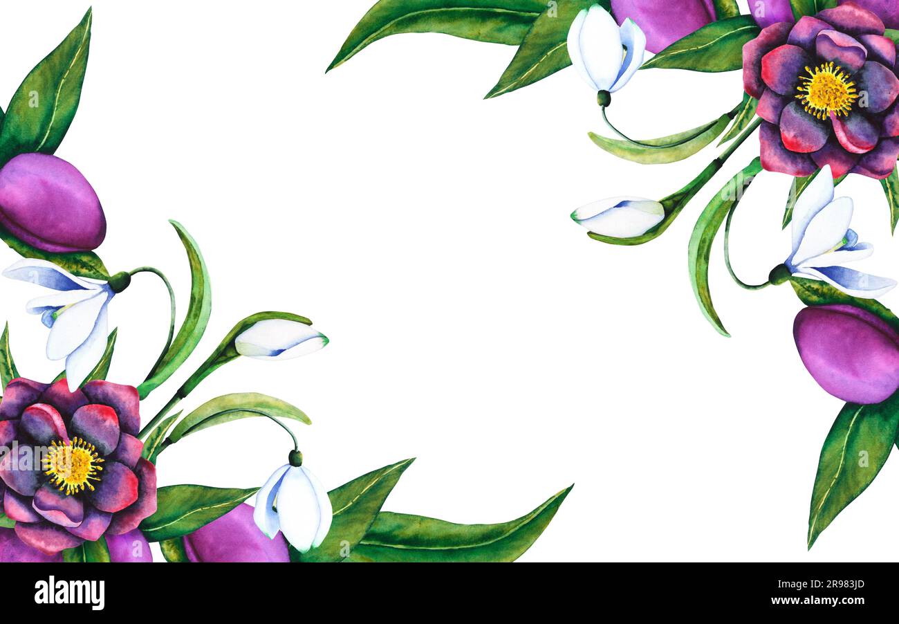 Hellebore black and snowdrops. Frame banner made of watercolor elements ...