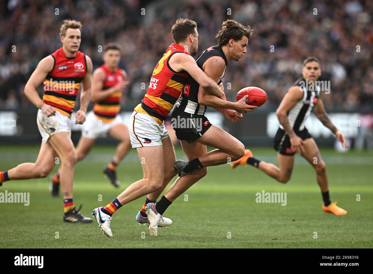 Melbourne, Australia. 25th June, 2023. Patrick Lipinski of Collingwood ...
