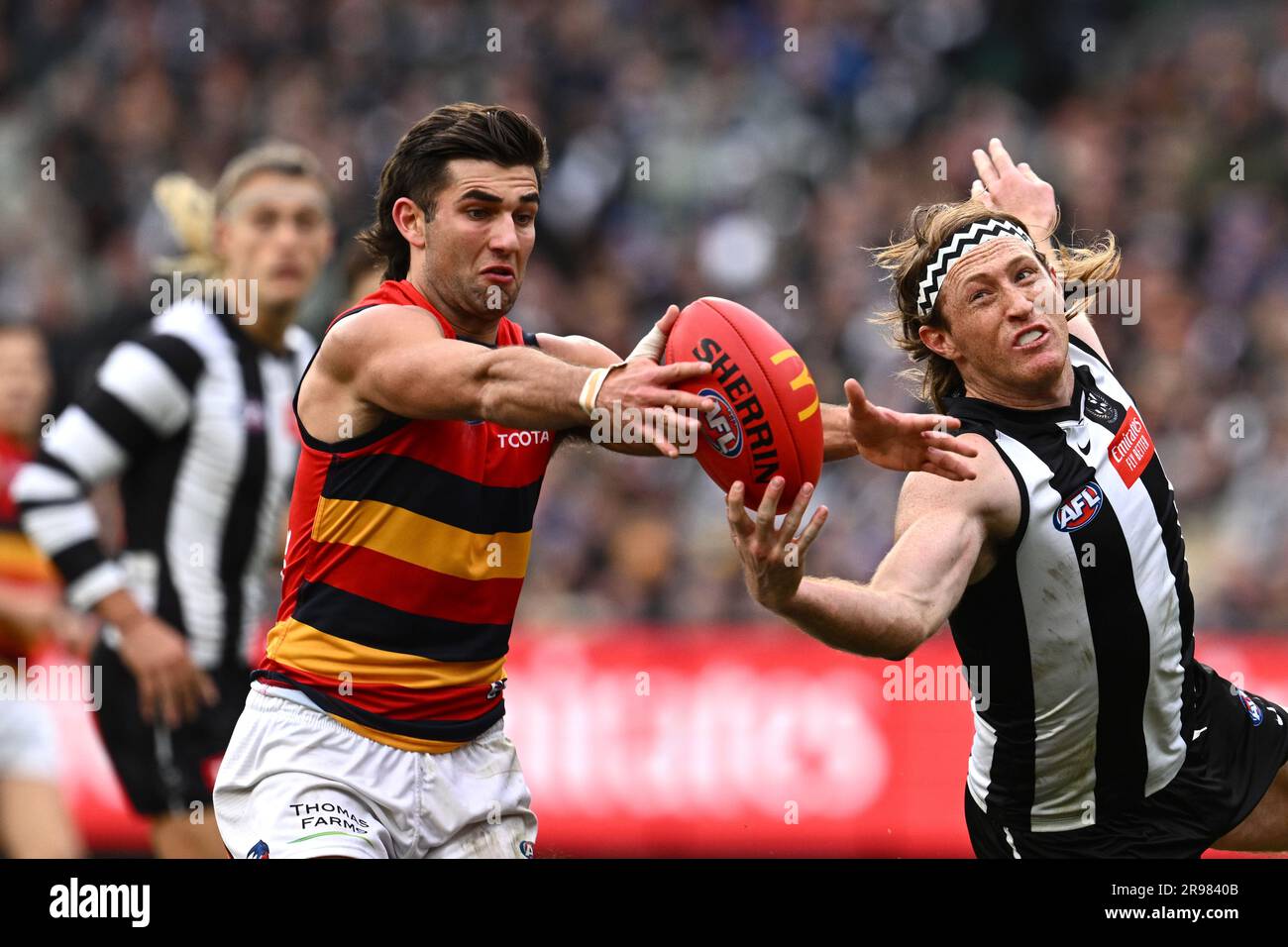 Melbourne, Australia. 25th June, 2023. Joshua Rachele of the Crows ...