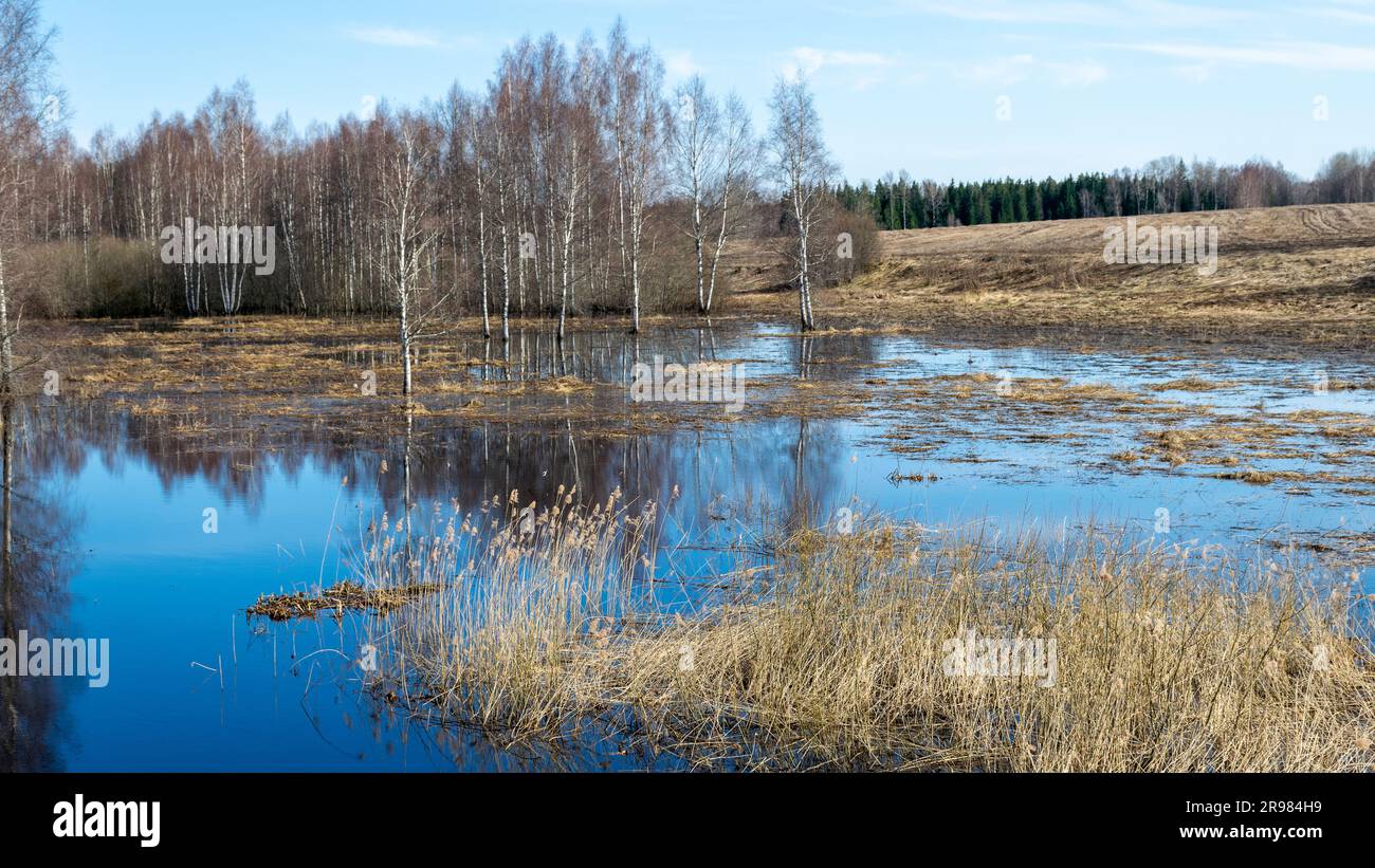 Simple wetland landscape hi-res stock photography and images - Alamy