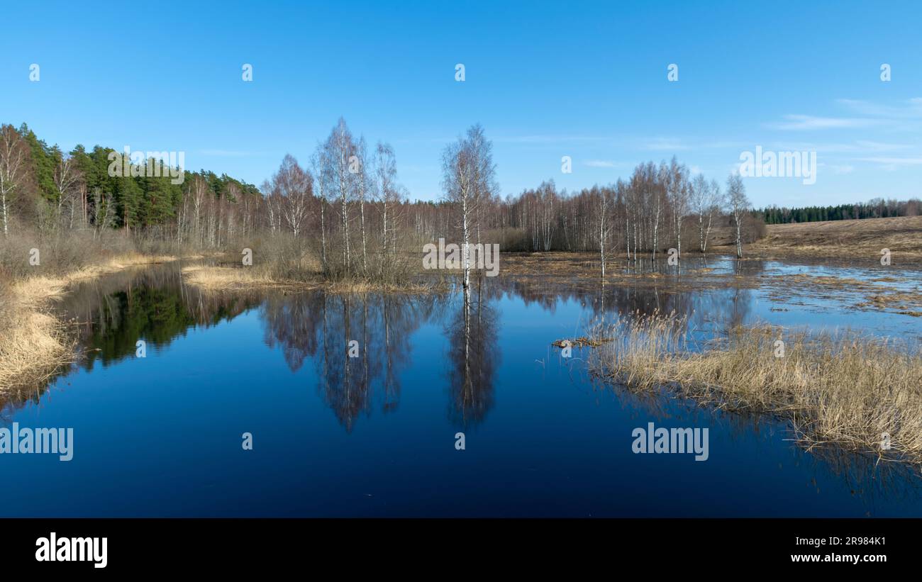 simple spring landscape with trees, beautiful sky, overflowing river ...