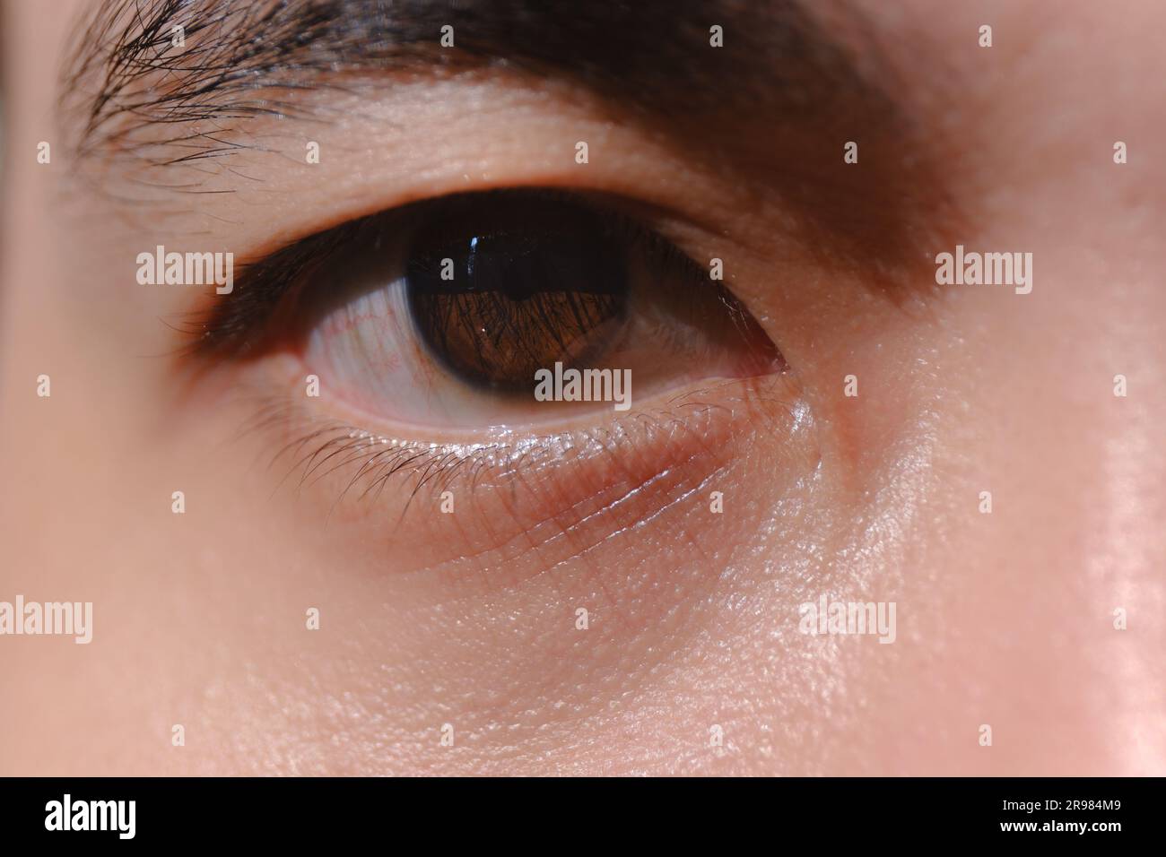 Close up focus shot man hi-res stock photography and images - Alamy