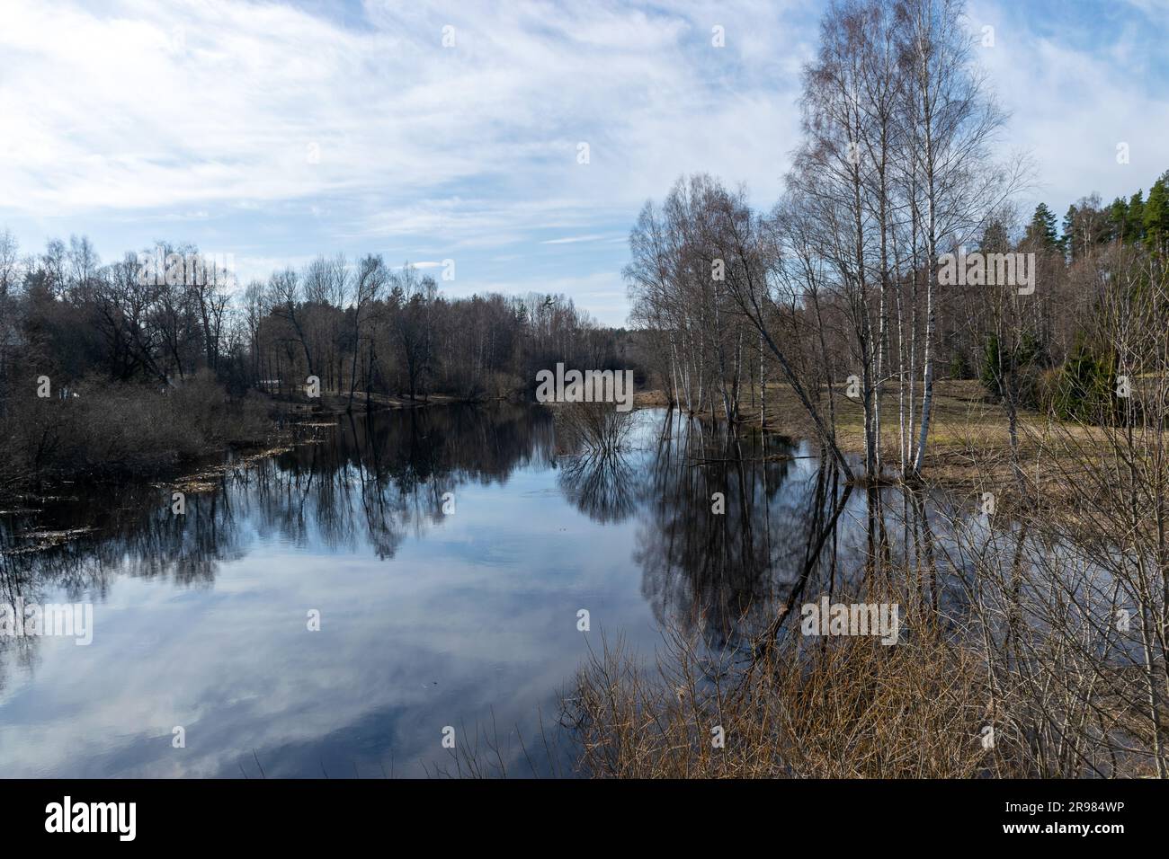 simple spring landscape with trees, beautiful sky, overflowing river ...