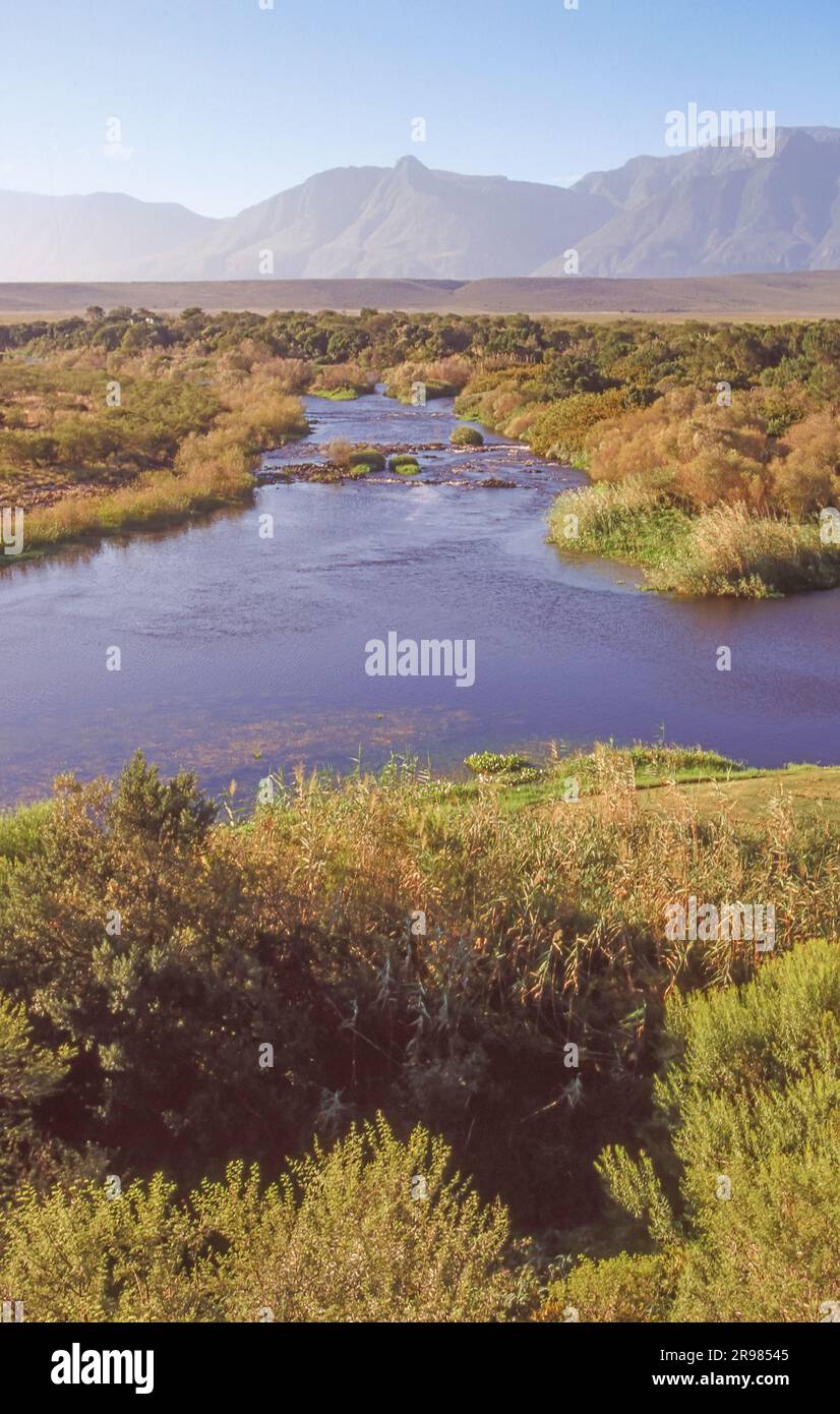 The Breede River flows through the Bontebok National Park, in the ...