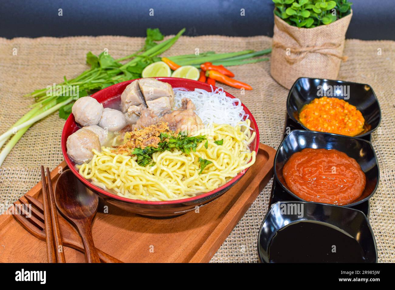 Indonesian Food: Photo products of various variants of Meatballs with ...