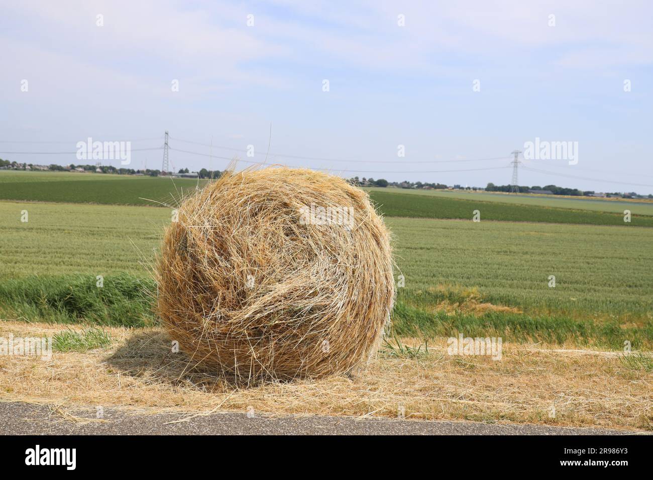 Cut sides of road like hay in a roll in the Eendragtspolder Zevenhuizen ...