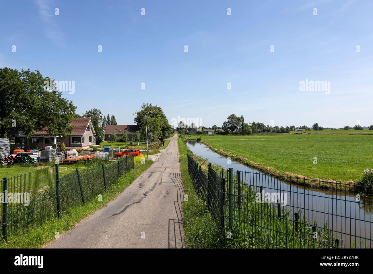 Meadows in the southern part of the Zuidplaspolder in the Netherlands ...