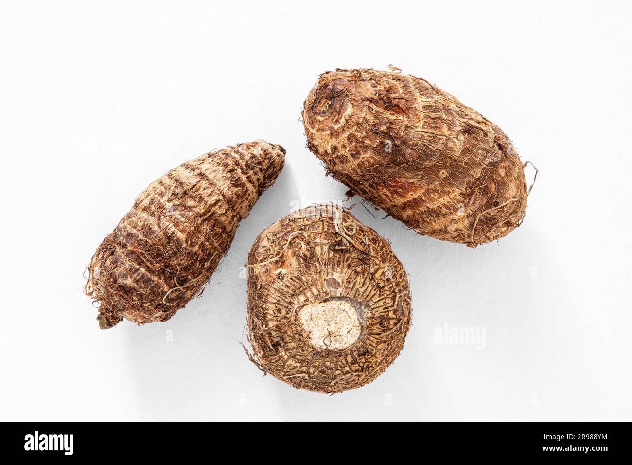 Eddo root hi-res stock photography and images - Alamy