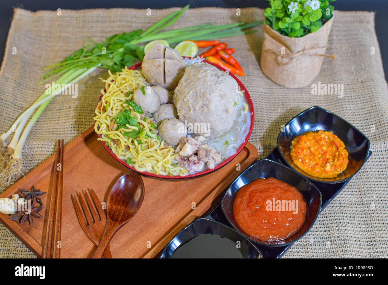 Indonesian Food: Photo products of various variants of Meatballs with ...