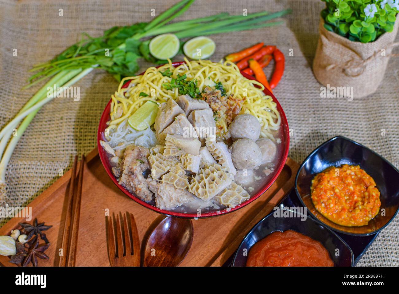 Indonesian Food: Photo products of various variants of Meatballs with ...