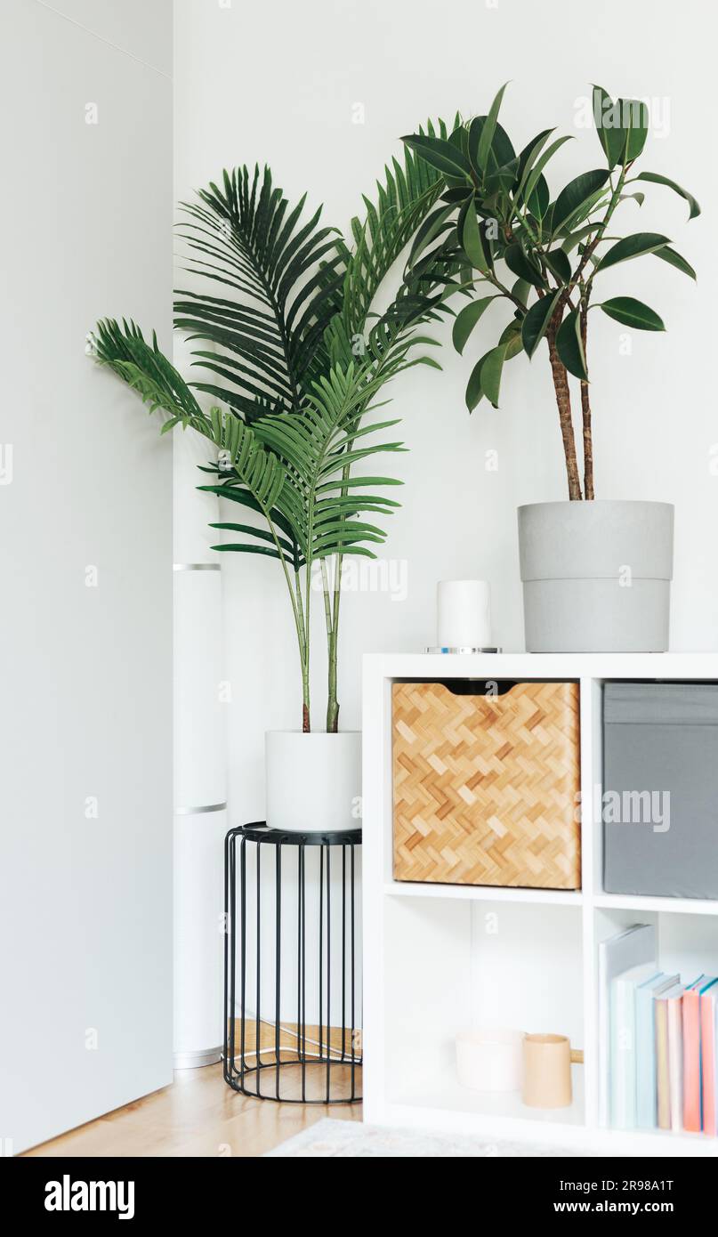 Home interior greenery hi-res stock photography and images - Alamy