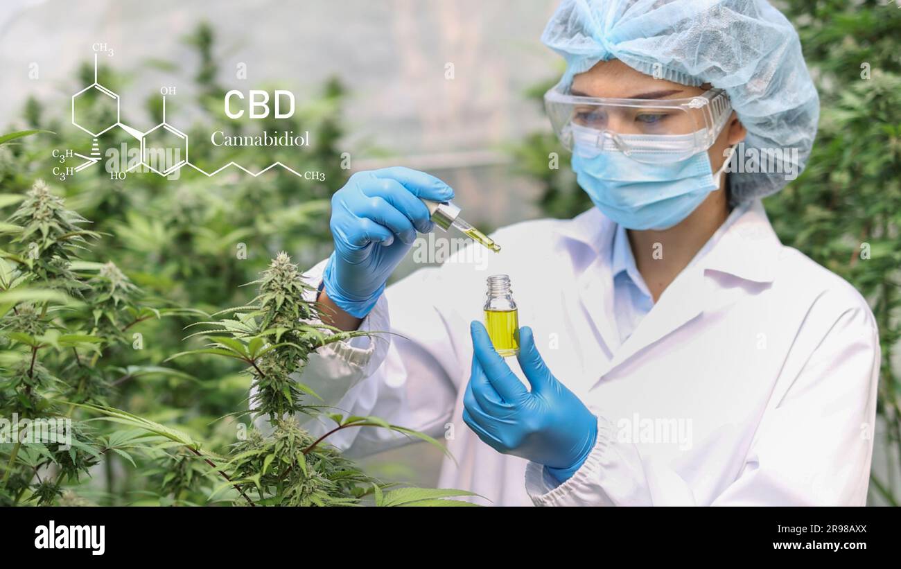 Cannabis elements hi-res stock photography and images - Alamy
