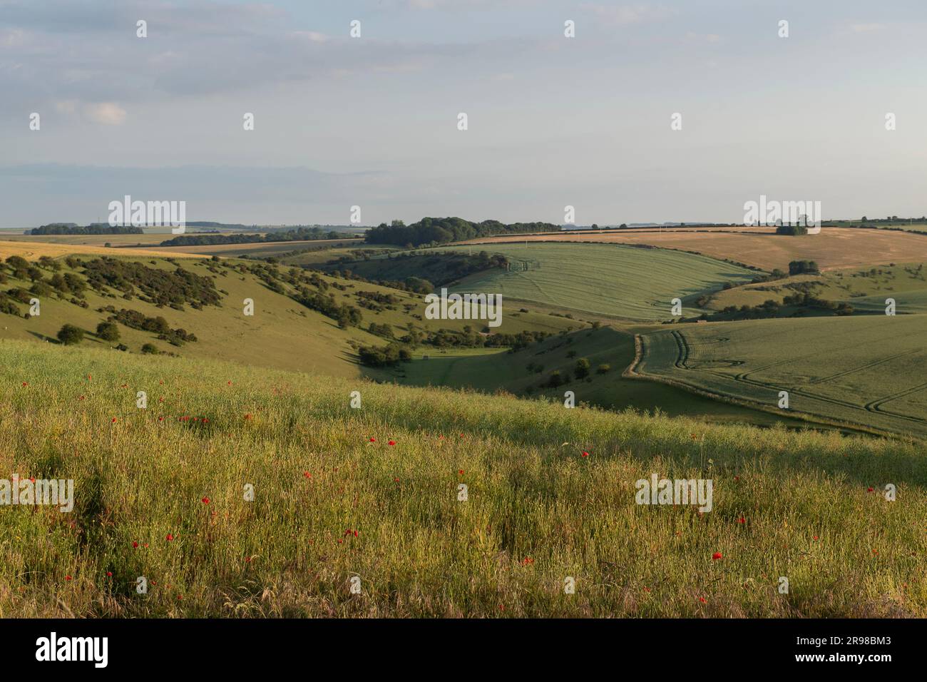 The landscape of the Yorkshire Wolds Way near Flixton and Staxton in ...