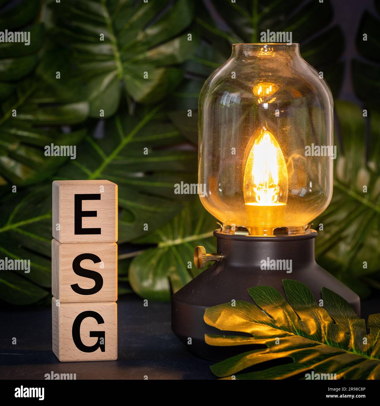 ESG Concept, Environmental, Social, Governance, Sustainable Business ...