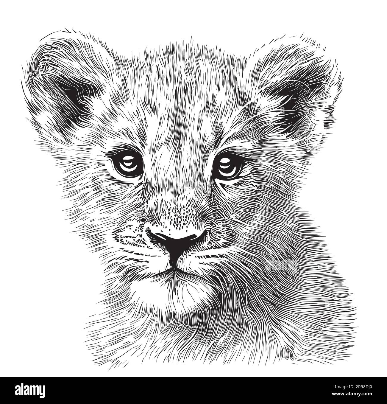 Lion cub face hand drawn sketch in doodle style illustration Stock ...