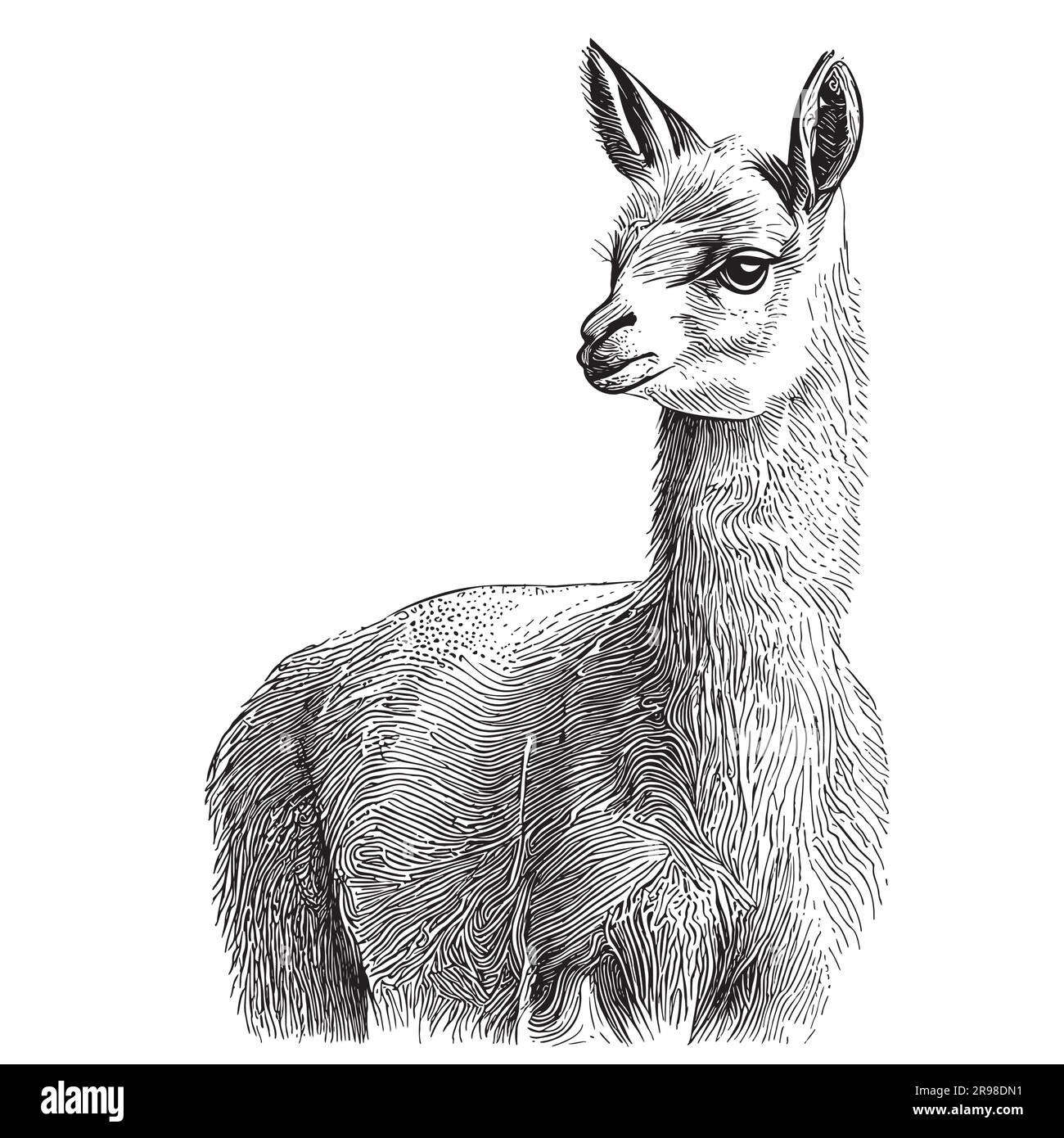 One Line Design Hand Drawn Llama Silhouette