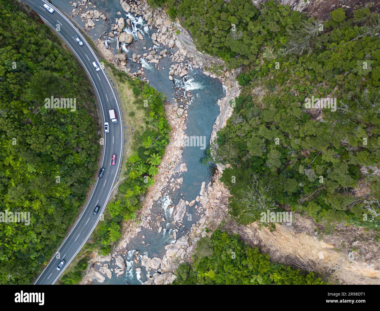 A winding road snaking its way through a lush, verdant forest in ...