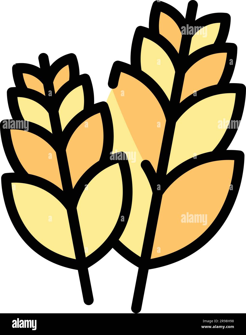 Wheat plant icon outline vector. Grain corn. Agriculture seed color ...