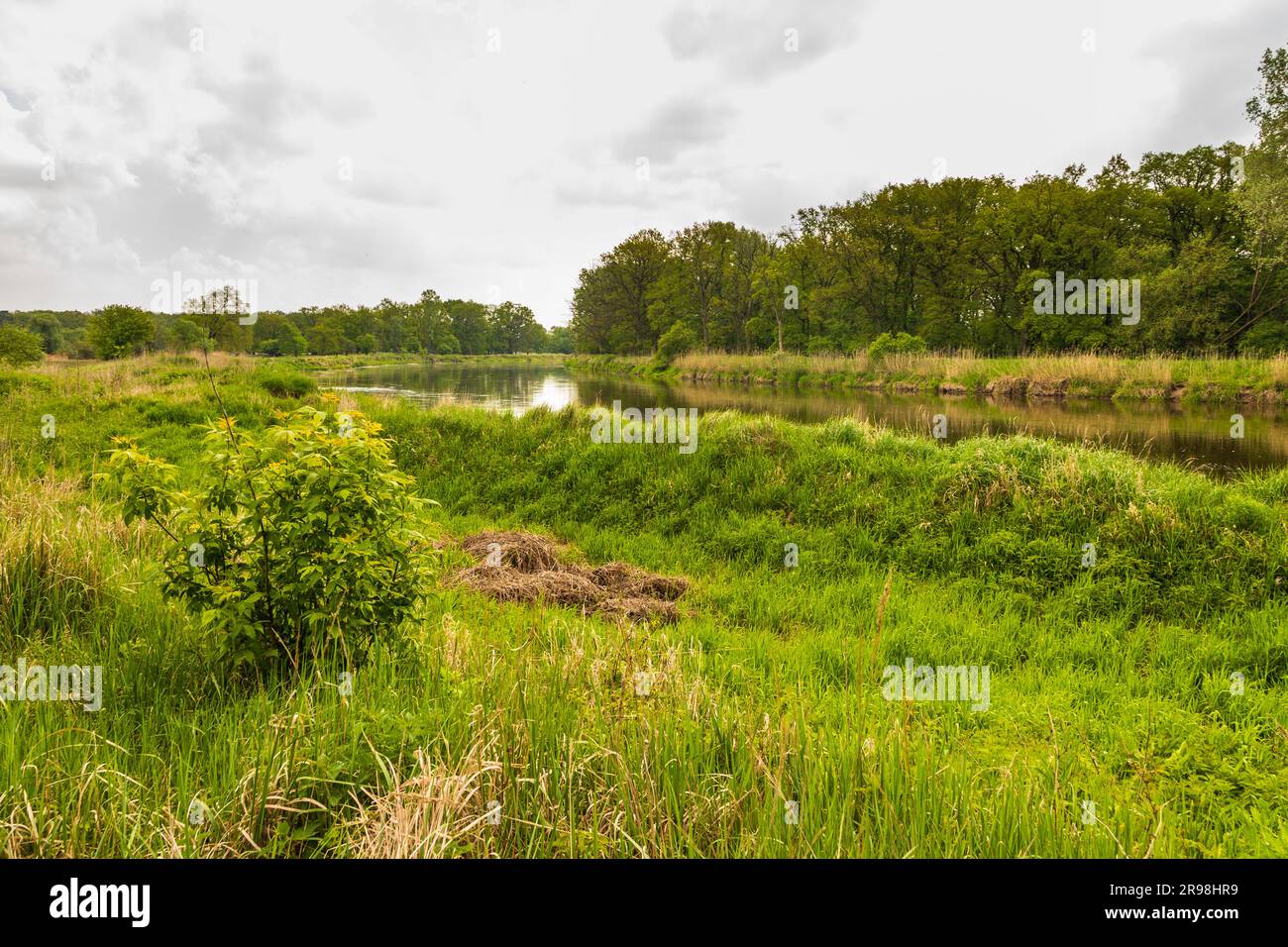 Summer day over Warta river in Warta Landscape Park, Rogalin, Poland ...