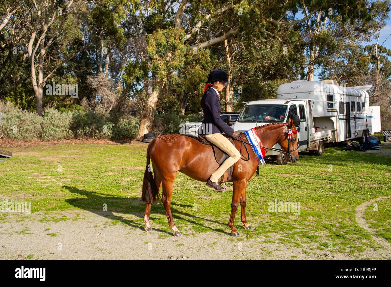 Colt and thier owners in Australia Stock Photo - Alamy
