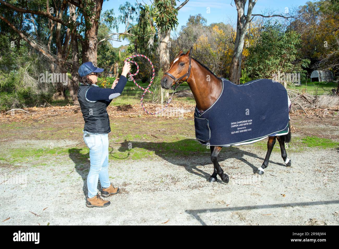 Colt and thier owners in Australia Stock Photo - Alamy