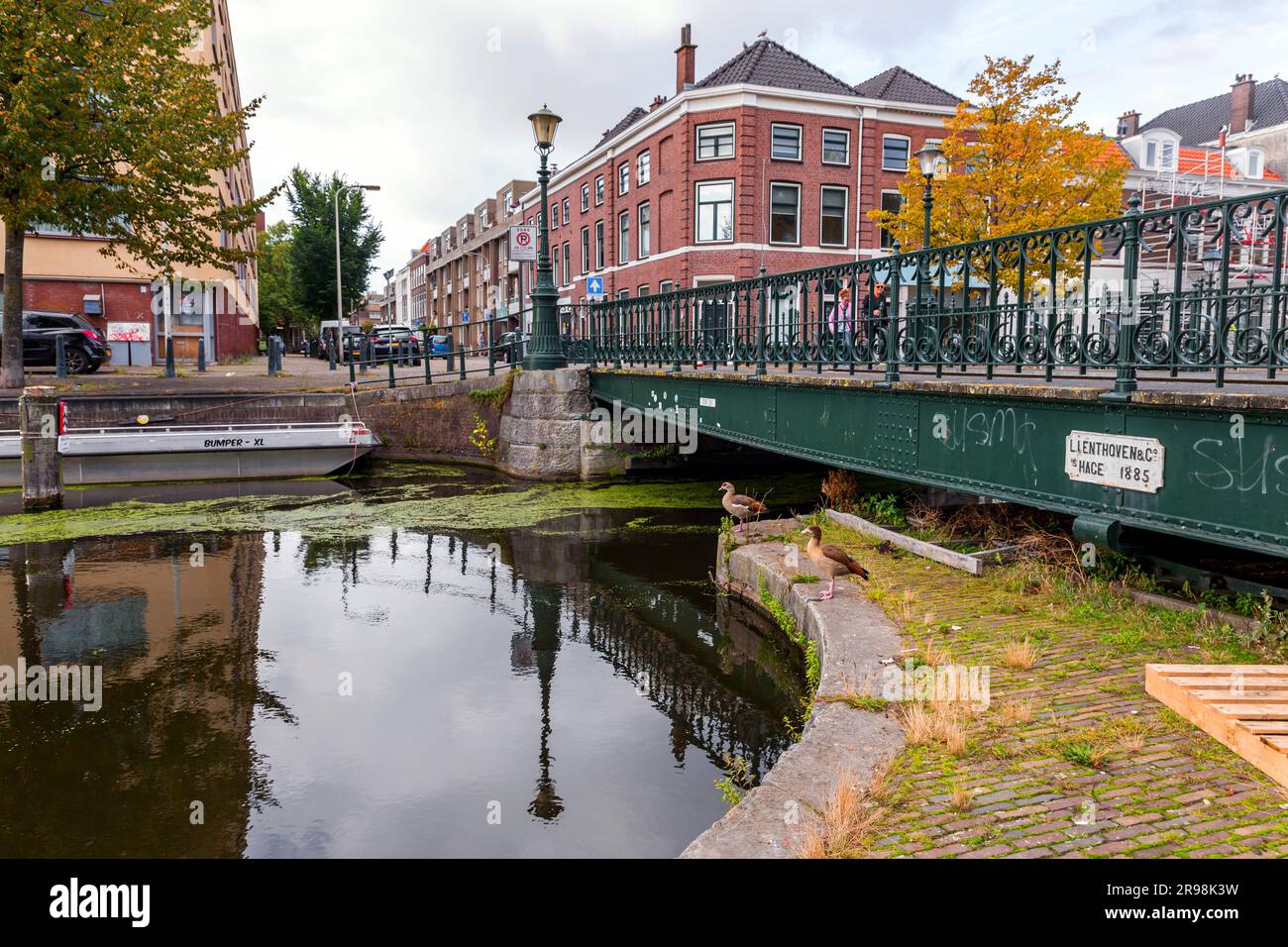 The Hague, Netherlands - October 7, 2021: Ducks aroud the river under a ...