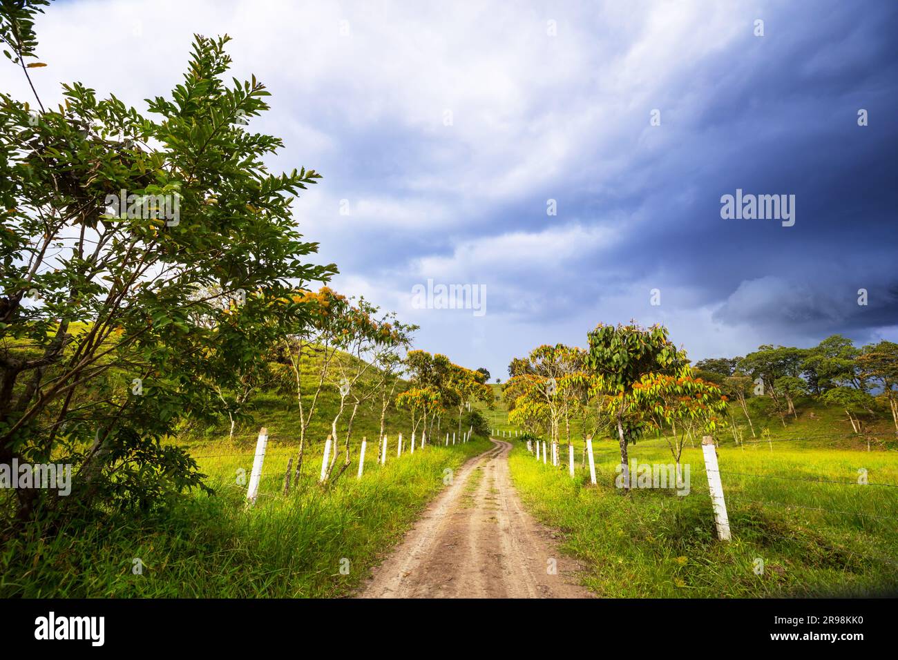 Rural road in the Colombia, South America Stock Photo - Alamy