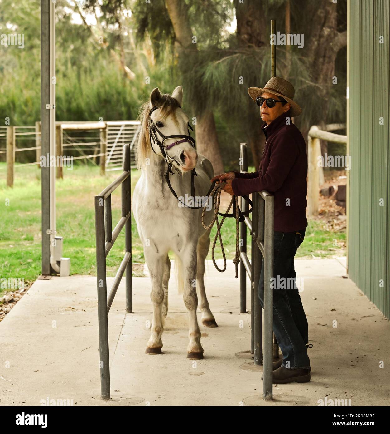 Colt and thier owners in Australia Stock Photo - Alamy