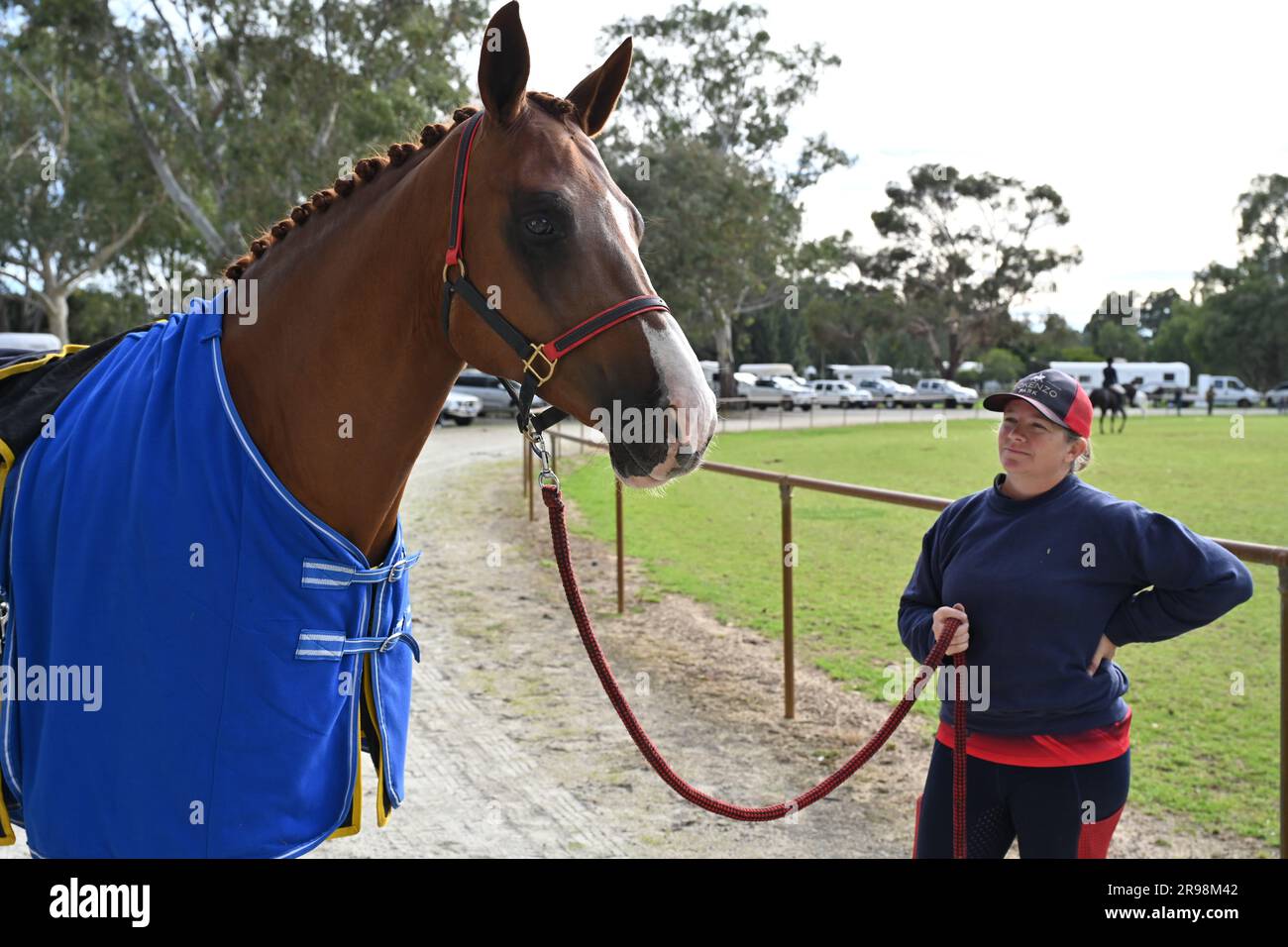 Colt and thier owners in Australia Stock Photo - Alamy
