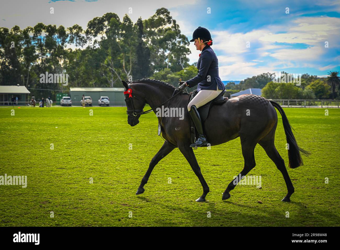 The art of riding and training a horse in a manner that develops ...