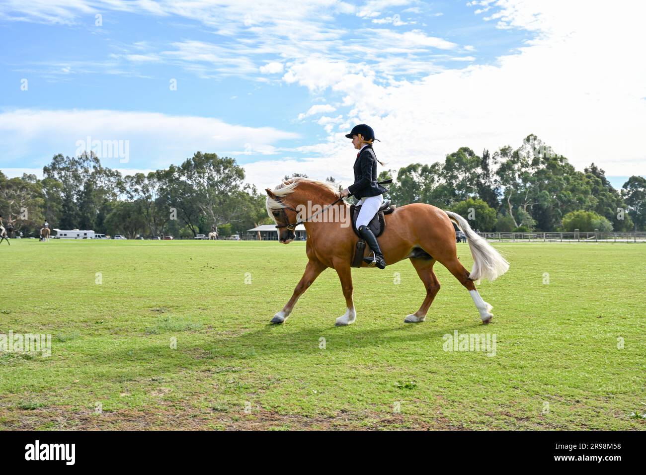 The art of riding and training a horse in a manner that develops ...