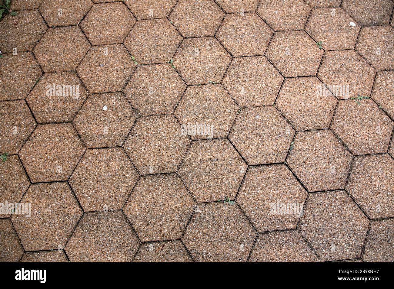 Hexagonal wall tile hi-res stock photography and images - Alamy