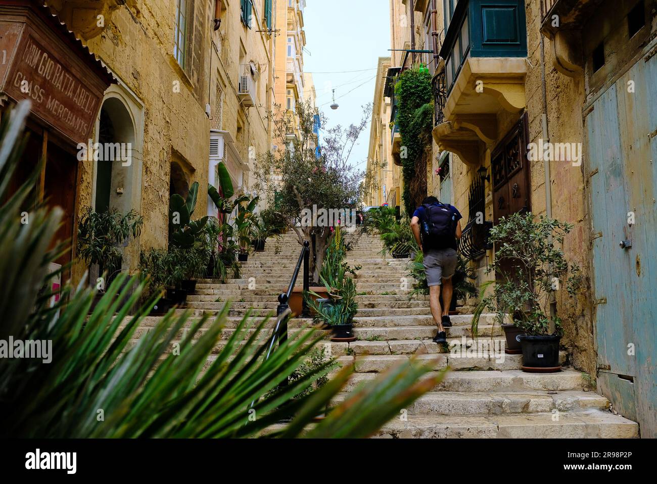 A plant filled staircase in the capital city of Malta, Valetta Stock ...