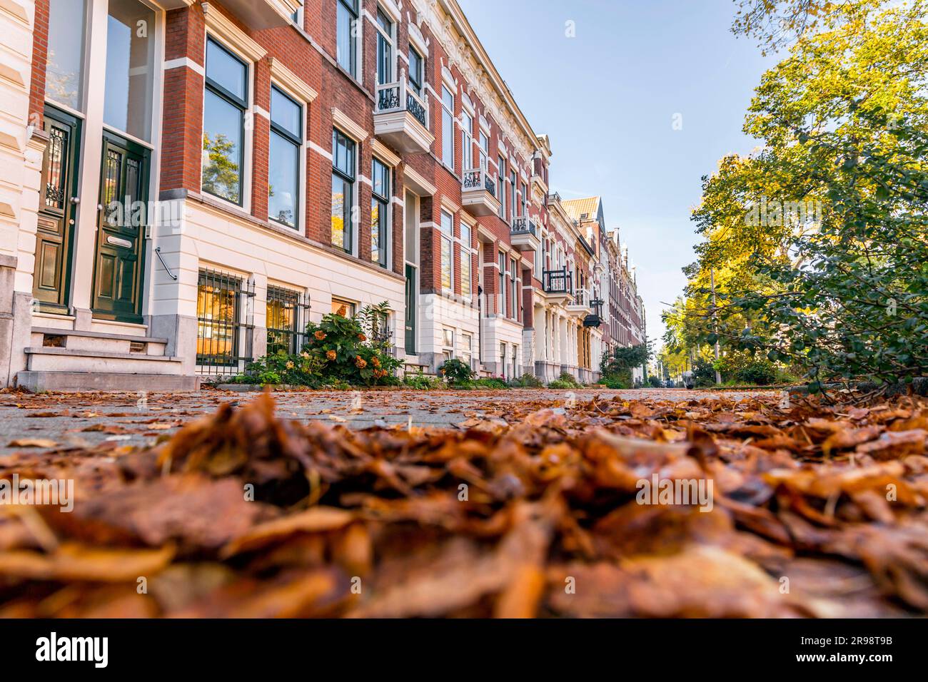 Typical Dutch architecture and street view in Rotterdam, the ...