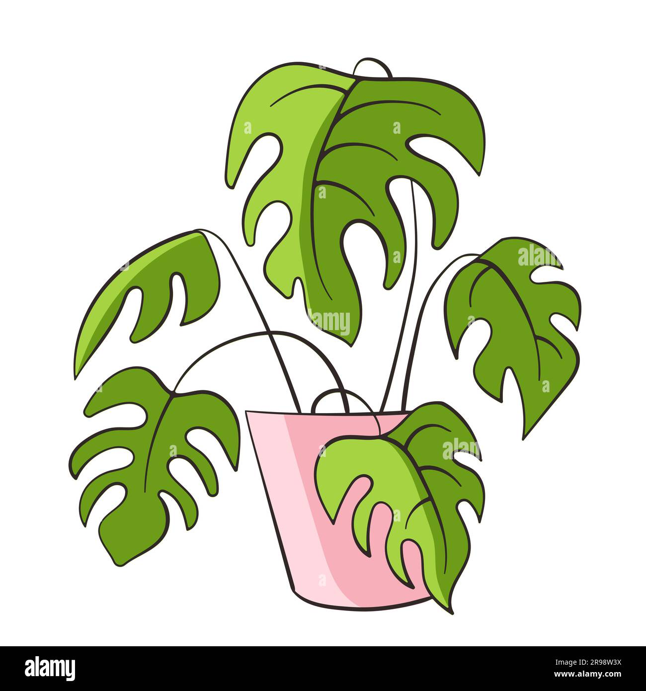 Monstera flat and line art style. Monstera, potted house plant, cartoon ...