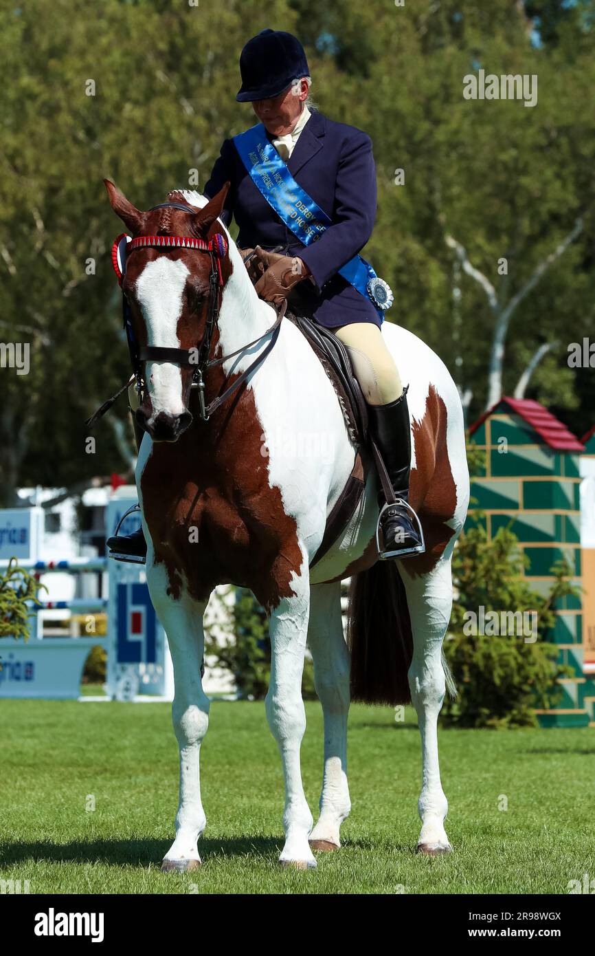 His majesty the kings sunbeam hi-res stock photography and images - Alamy