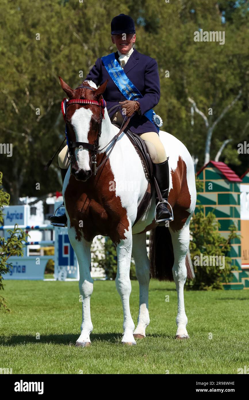 His majesty the kings sunbeam hi-res stock photography and images - Alamy