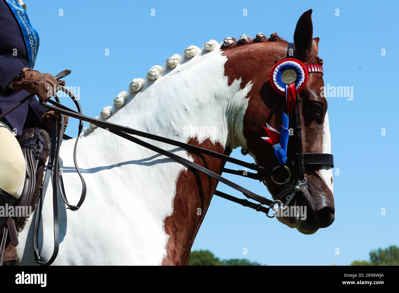 His majesty the kings sunbeam hi-res stock photography and images - Alamy