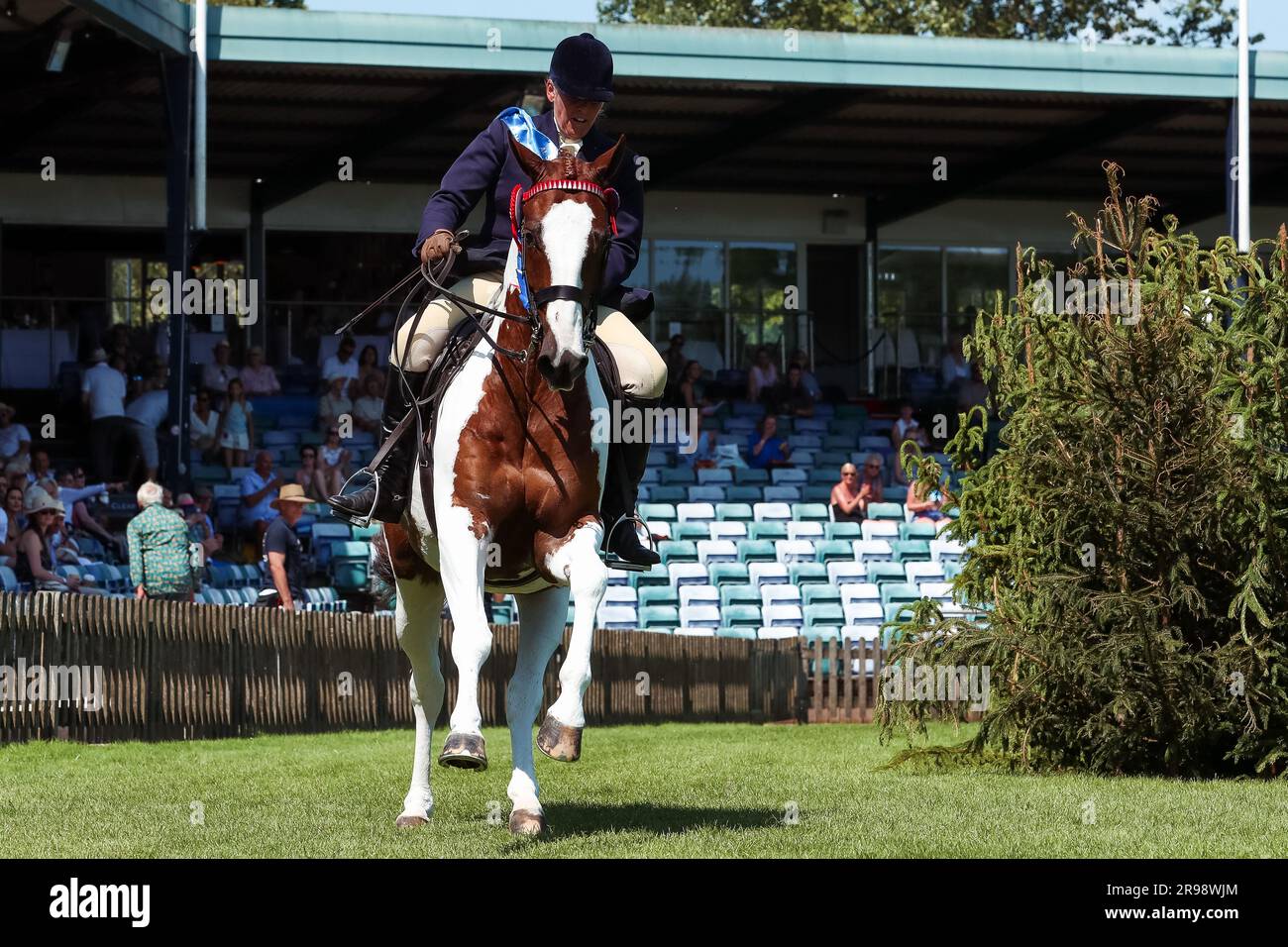 His majesty the kings sunbeam hi-res stock photography and images - Alamy