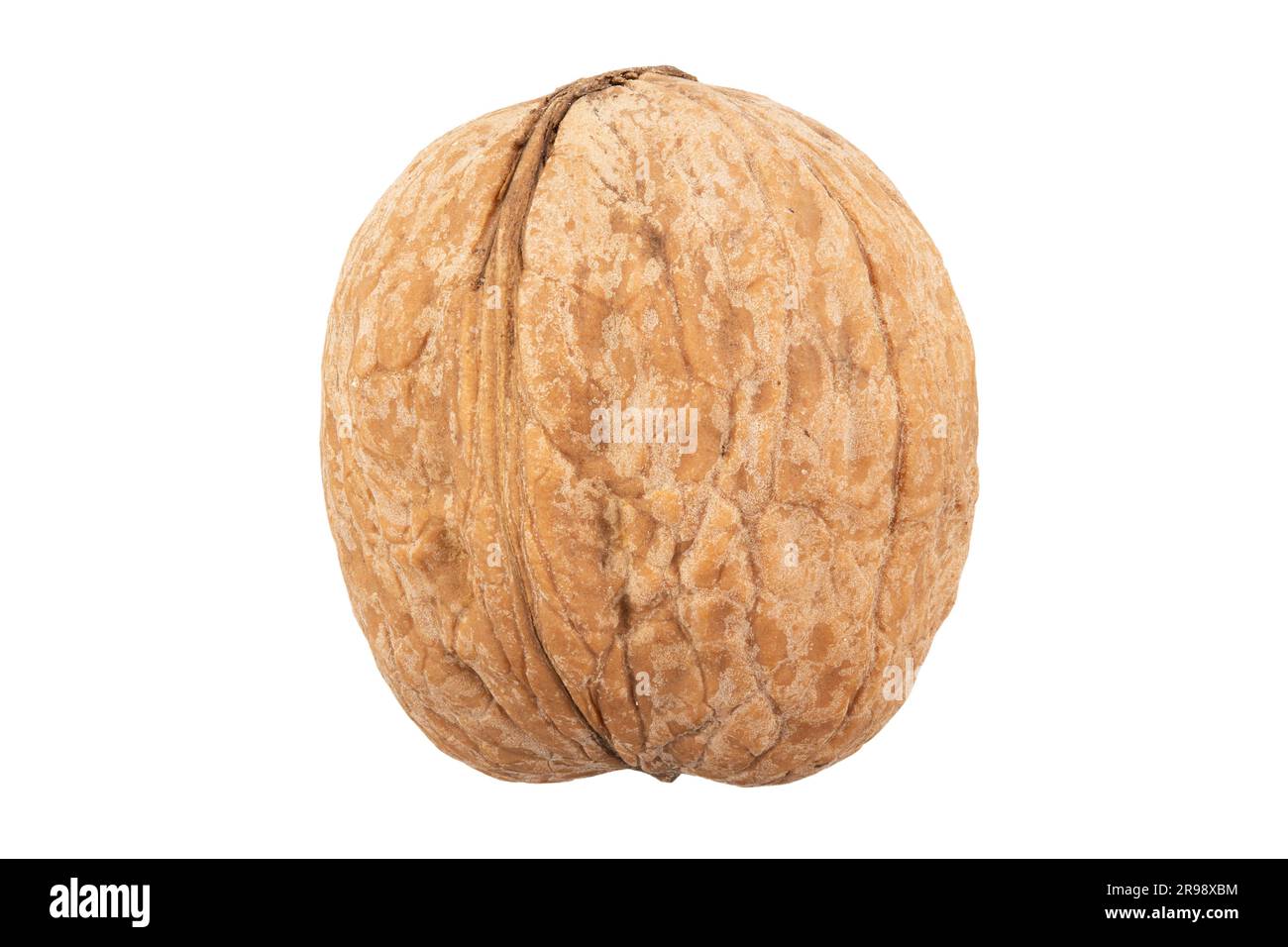 Walnut in shell. Isolated on white background. File contains clipping ...