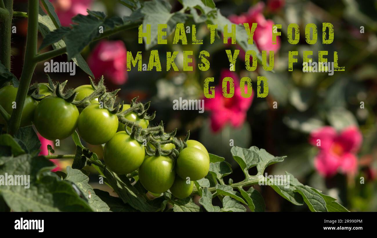 Healthy food makes you feel good. sentence. Fresh fruits and vegetables ...