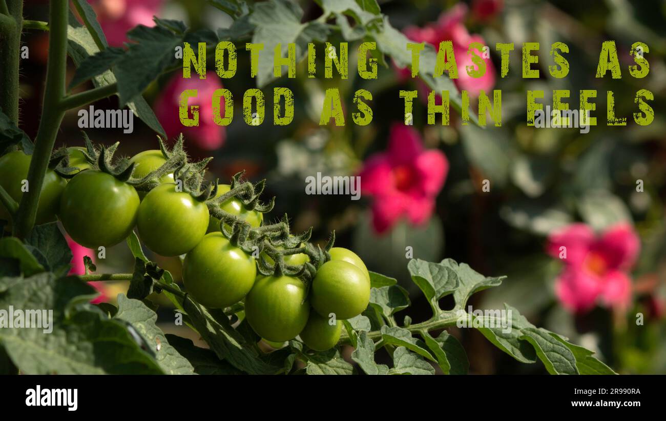 Nothing tastes as good as thin feels phrase. Fresh fruits and ...